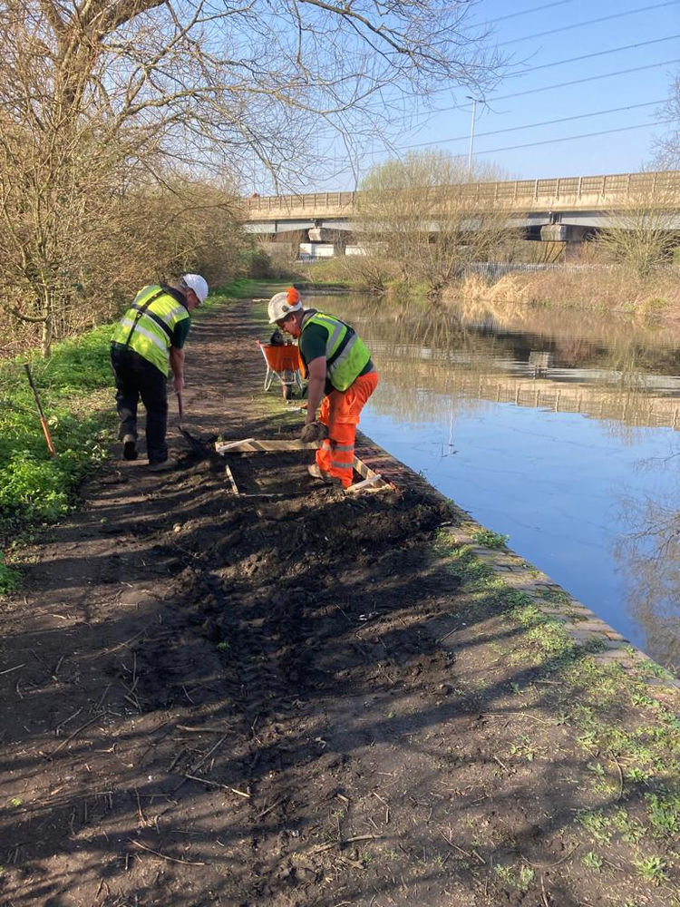 A Definitive Guide to Marine Piling and Dock Piling | The Rothen Group