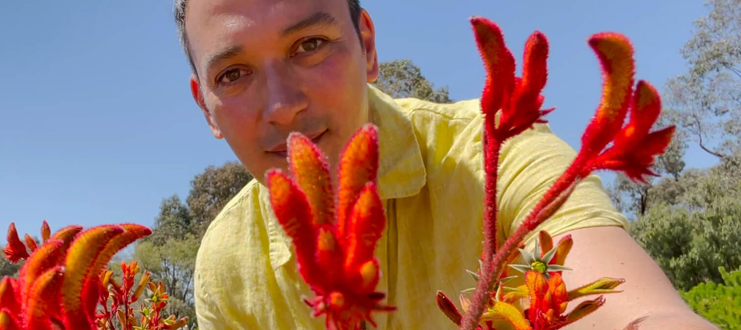 Australian Native Plants