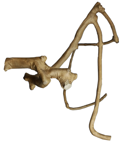 A&E - Large Java Wood Multi Branch Perch | Exotic Pet Birds