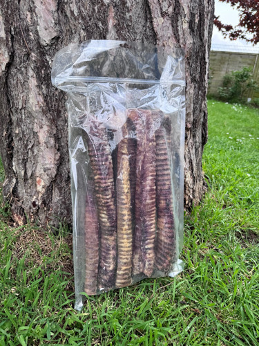 Giant Beef Trachea 1kg Bulk Pack | My hound and I