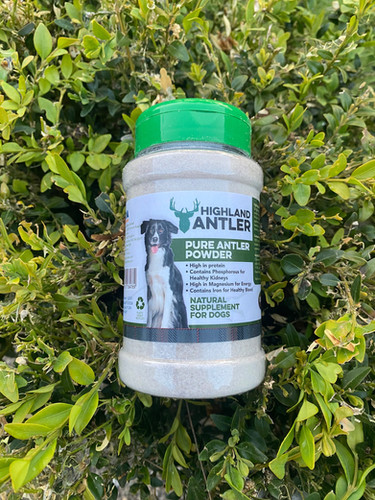Antler Powder | My hound and I