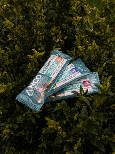 Anco Oceans+ Bars | My hound and I