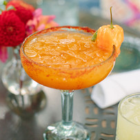 Añejo Mexican Bistro | Cape Cod | Falmouth & Hyannis