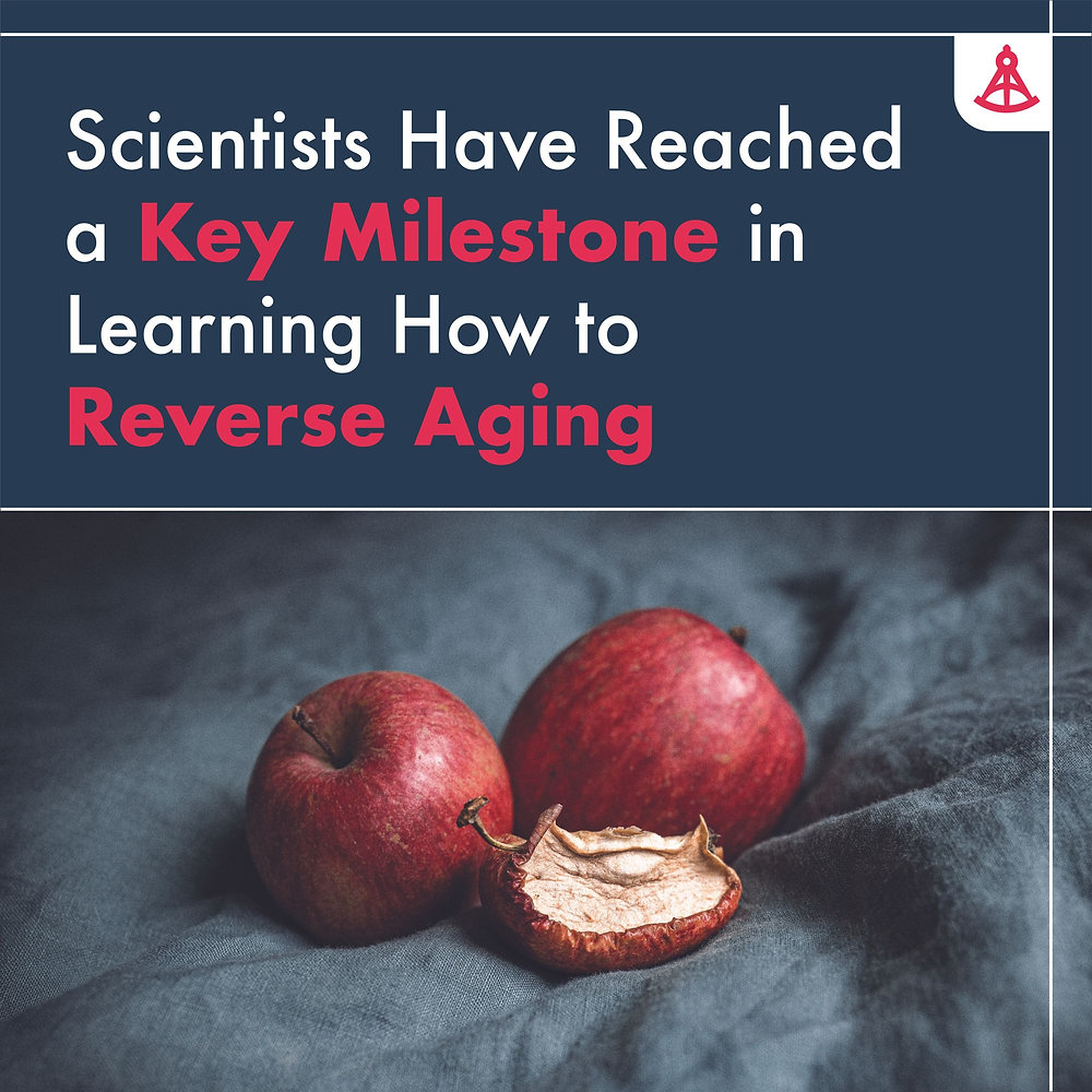 Reverse Aging and How it is Possible