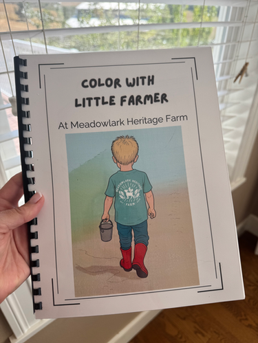 Color with Little Farmer Coloring Book | Meadowlark Heritage