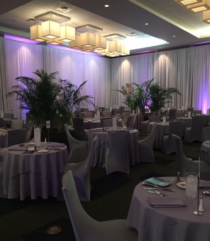 Gallery | Sensational Events | United States