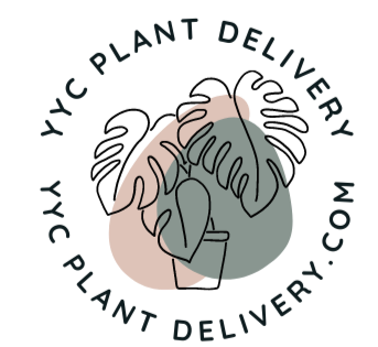 YYC Plant Delivery | Tropical Plants, Houseplants, Pots, Plant Care ...