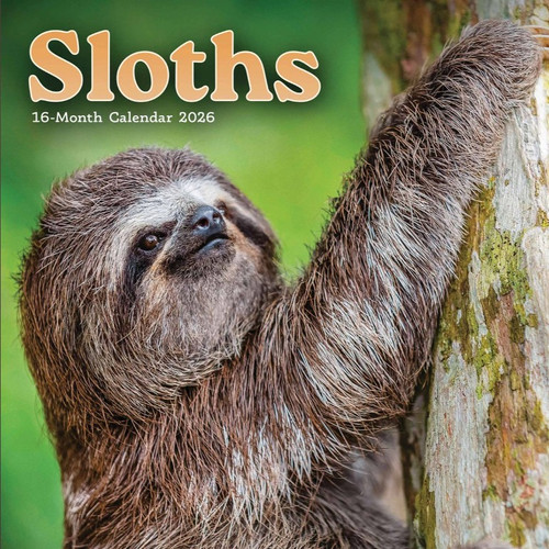 Sloths, 2026 Mini Wall Calendar by Carousel Calendars | The Collectors ...