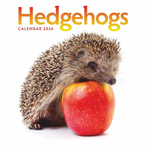 Hedgehogs, 2026 Wall Calendar by Carousel Calendars | Teddy Collectors