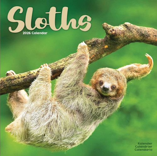 Sloths, 2026 Wall Calendar by Avonside Publishing | The Collectors Company
