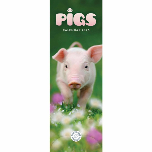 Pigs, 2026 Slim Wall Calendar by Carousel Calendars | The Collectors ...