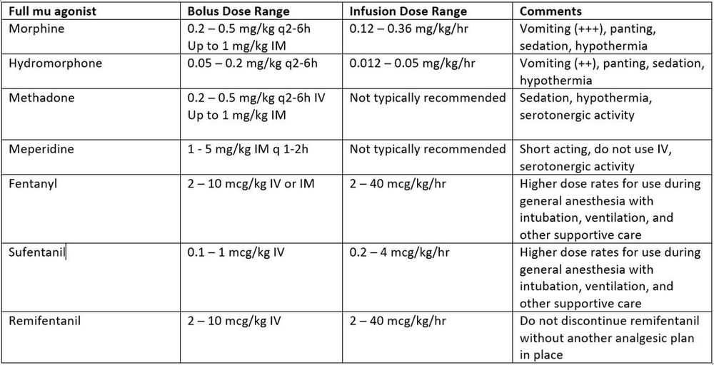 Opioids in Veterinary Anesthesia
