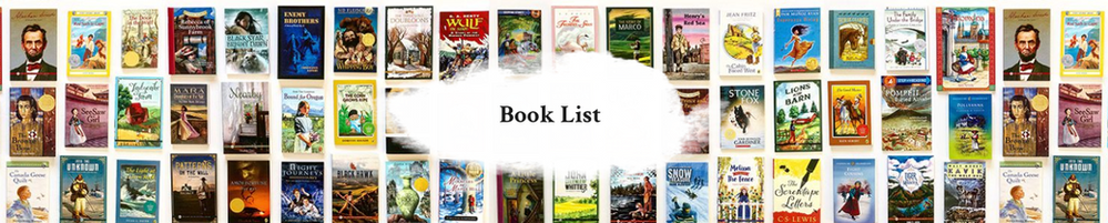 A Homeschool Curriculum You Need