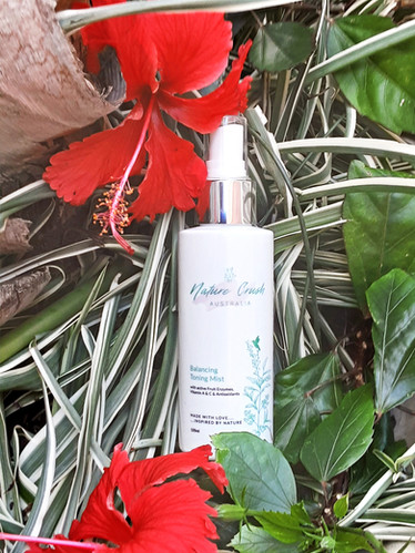Balancing Toning Mist | Nature Crush