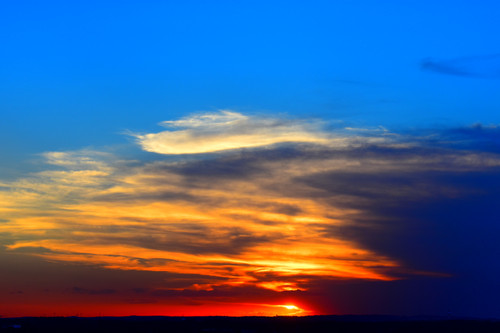 All Products | Art By J. Livingston