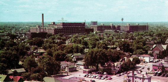 HOME | IUEC Local 44