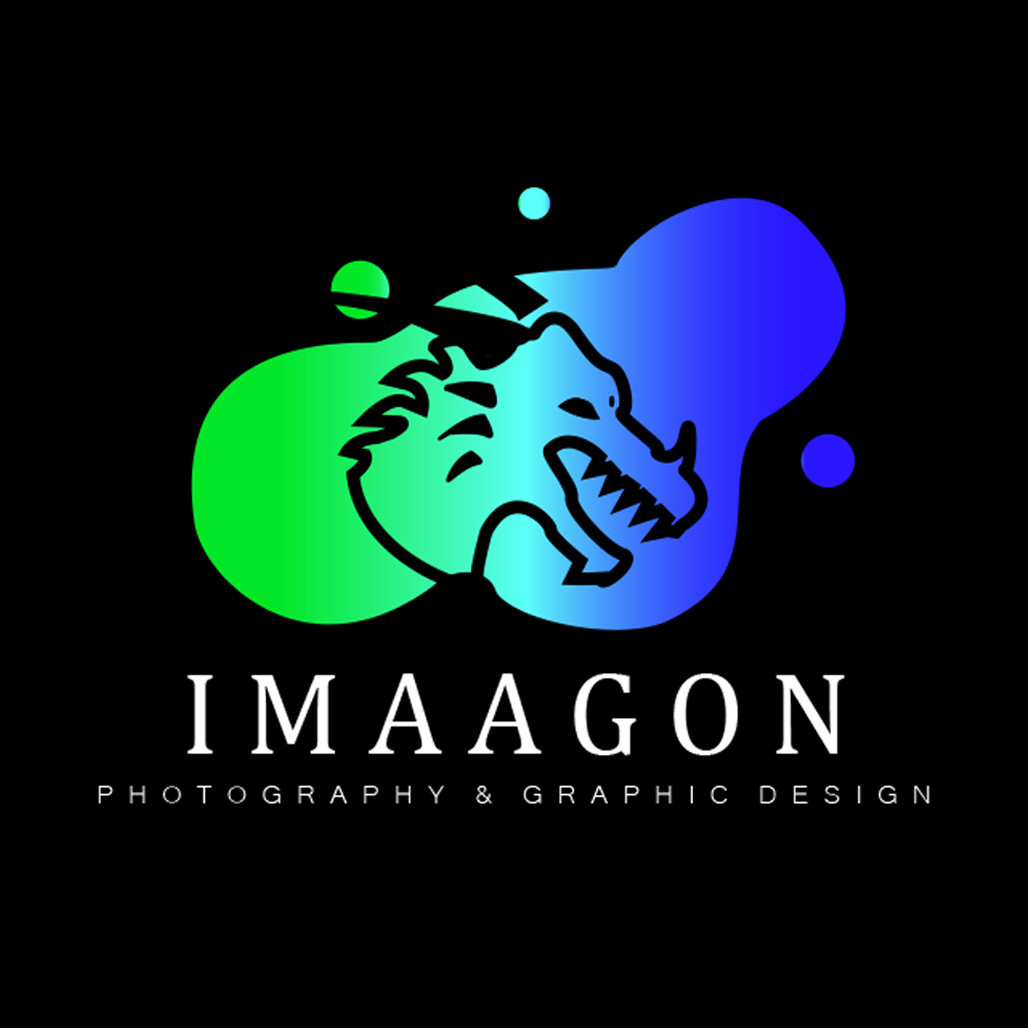 Home | Imaagon Studios