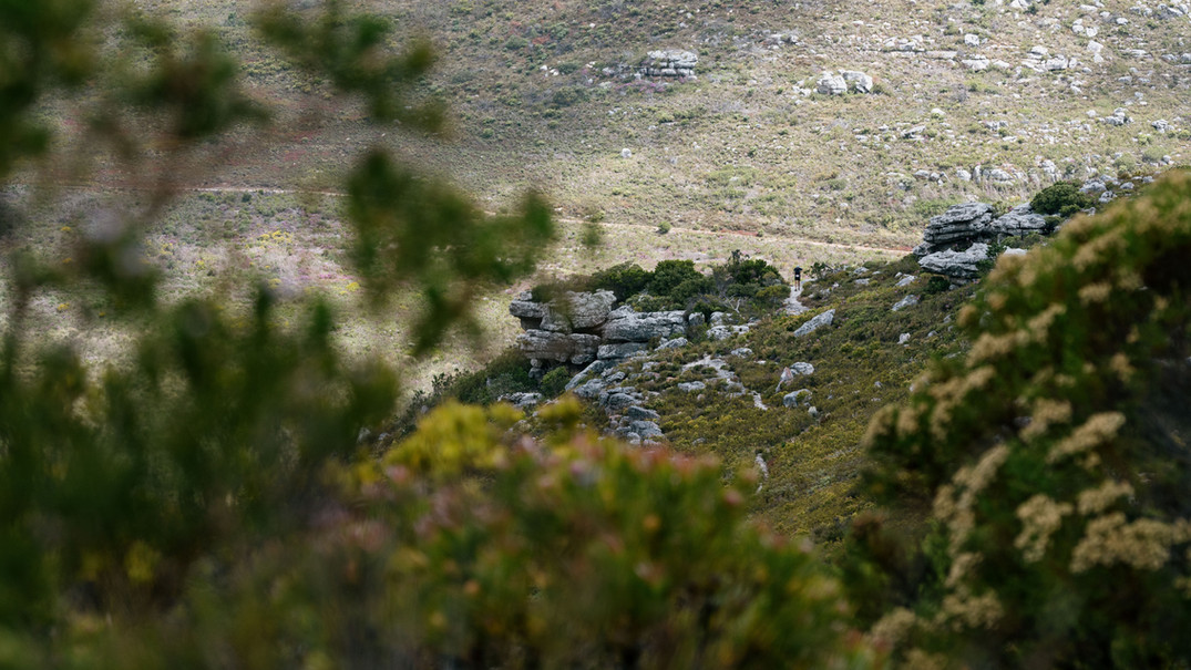 RMB Ultra-trail Cape Town® | UT100 - 100km Route Map