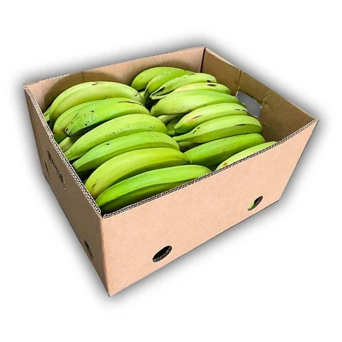 Unripe Plantain Half Box | 3SIEE Foods, UK