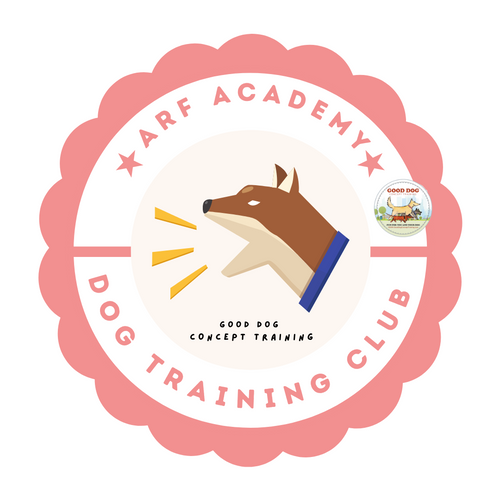 About - ARF ACADEMY | Southport Pups
