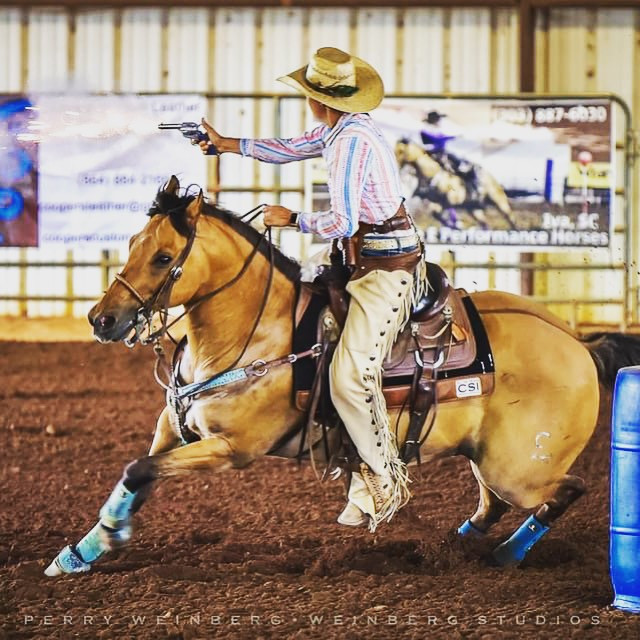 Horse Training | Double E Performance Horses | Iva