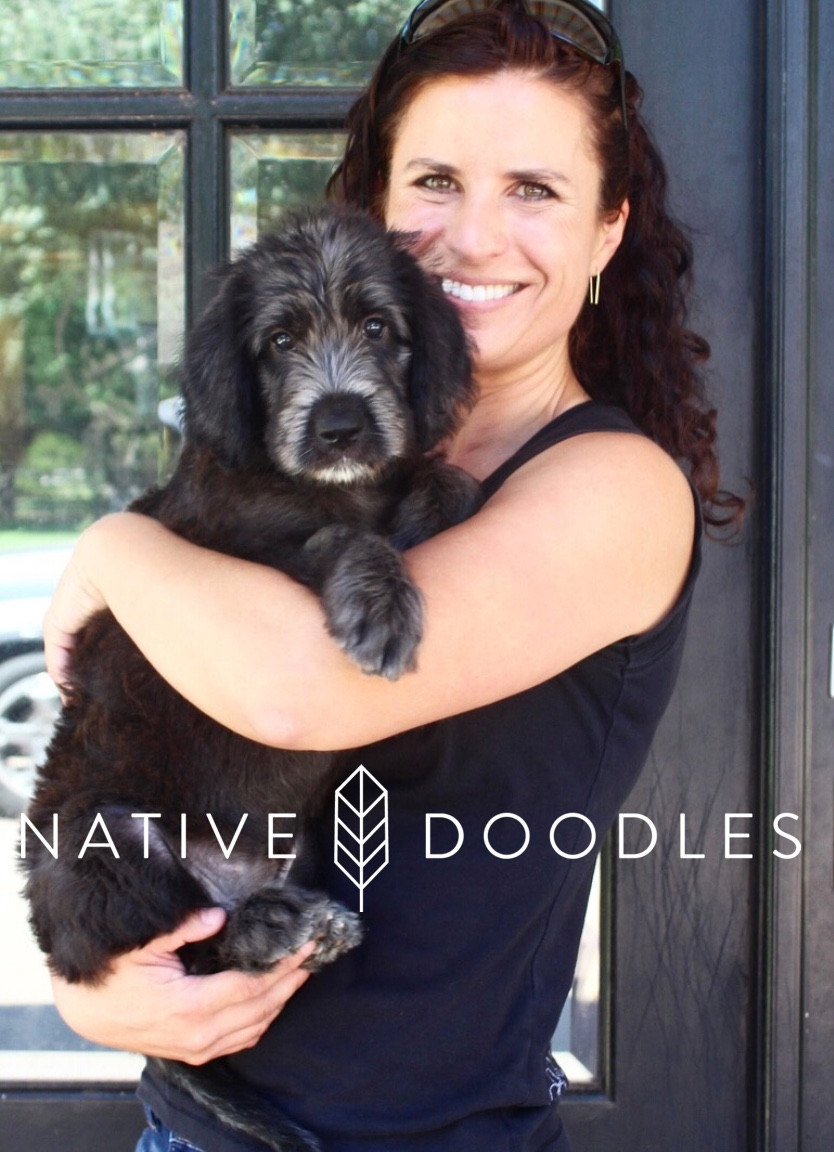 Fullscreen Page | nativedoodles