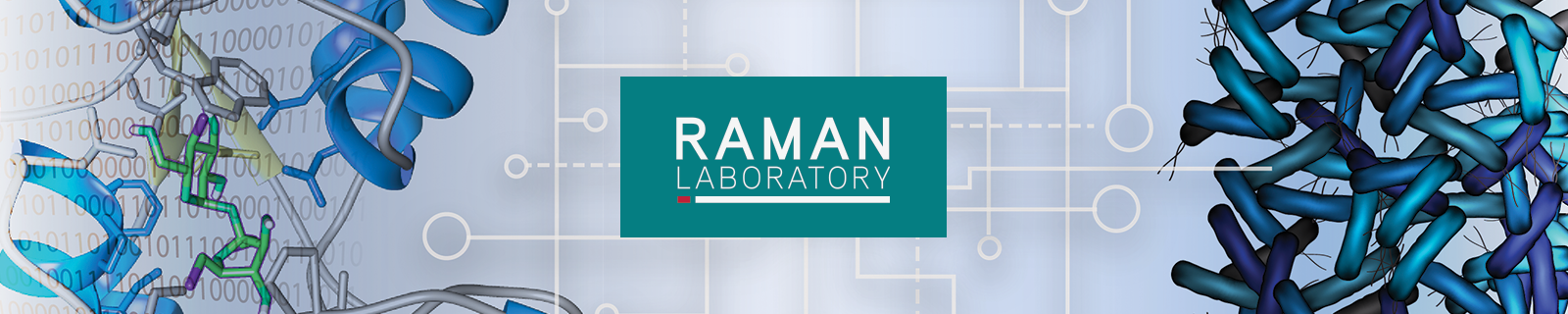 PUBLICATIONS | Raman Laboratory