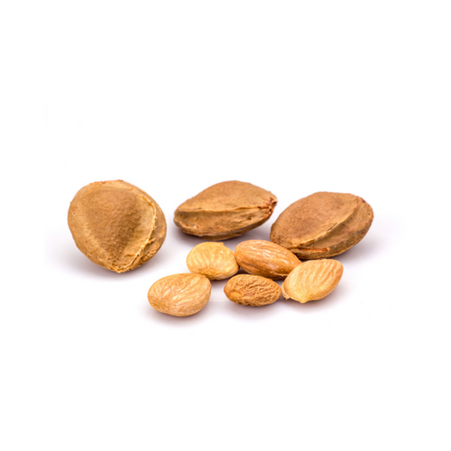 Apricot kernel butter | Kitchen Garden