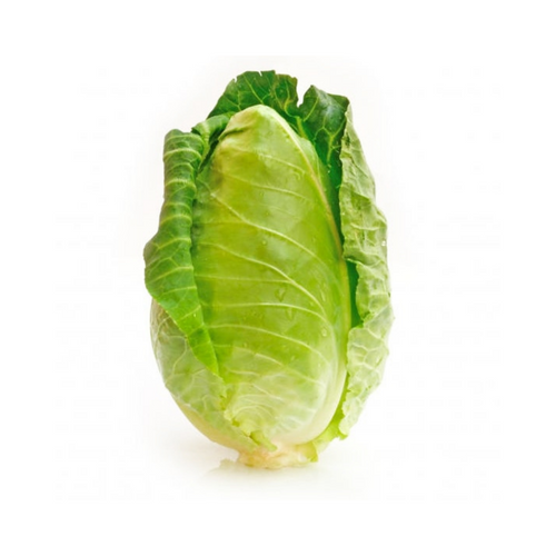 Cabbage - Cape Spitz | Kitchen Garden