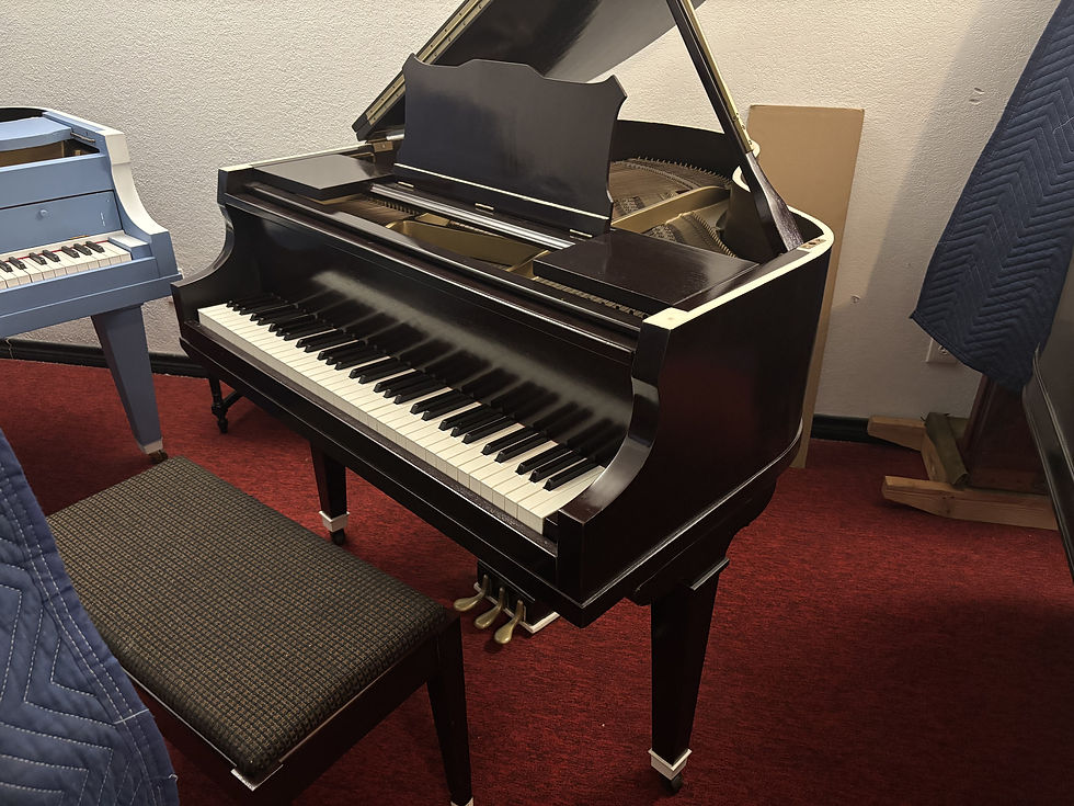 Rare Minatare Wurlitzer | Rockafellow Piano