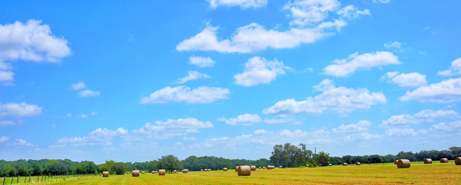 Home | City of Snook