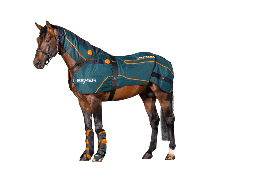 BEMER Horse - Kit | Talens Institute