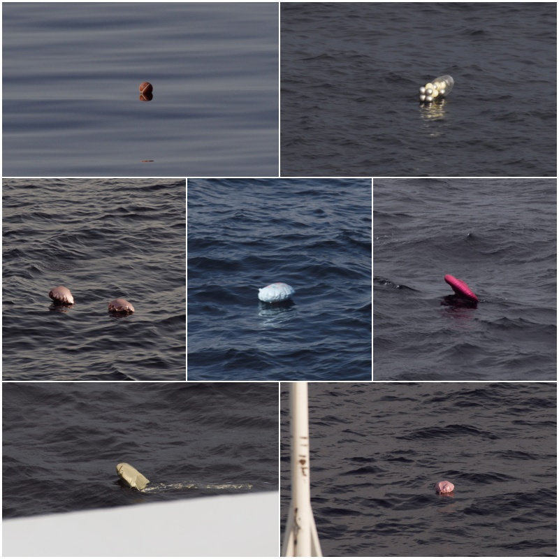 What is that floating in the North Sea?