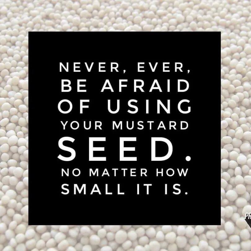 I'm not afraid to use my mustard seed!