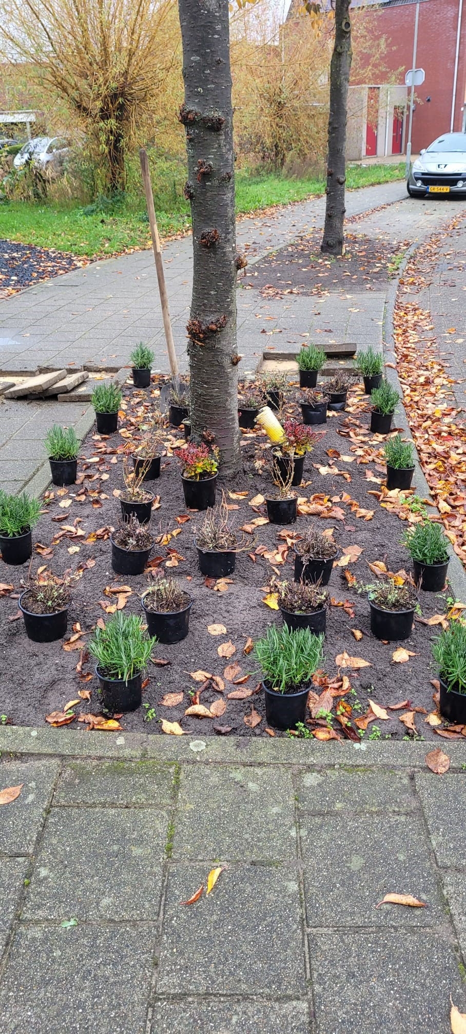 Home | Buurtvereniging "Het Ovaal"