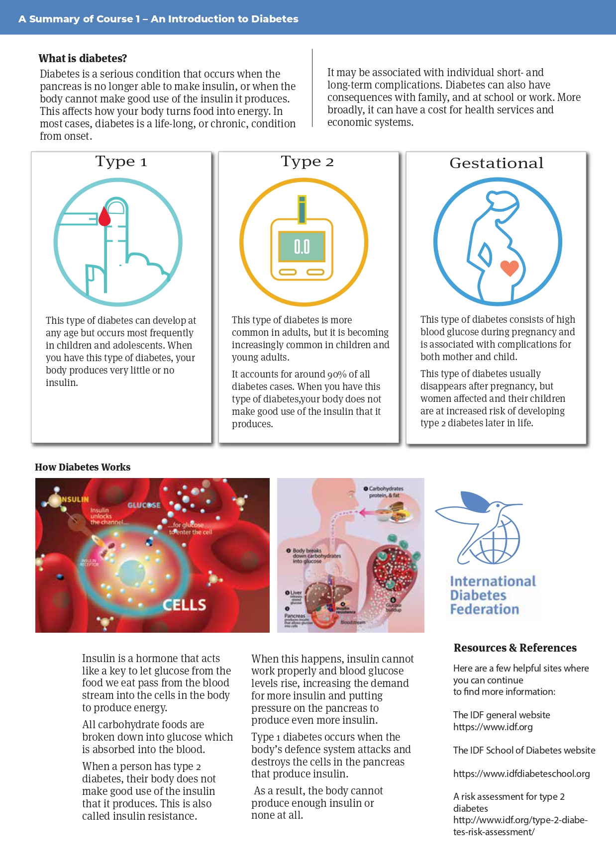 Understanding the Basics of Diabetes