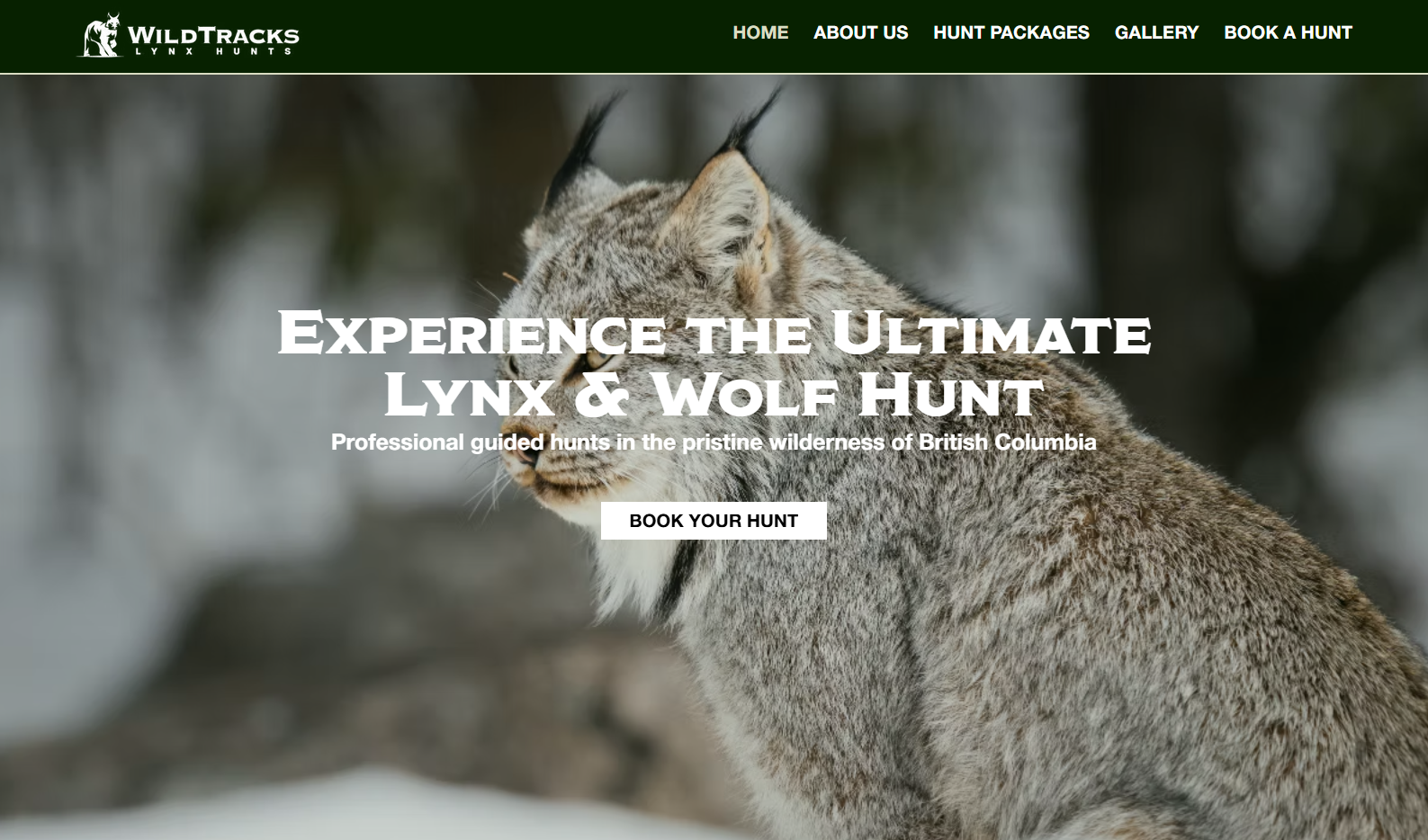 Wild Tracks Lynx Hunts | Professional Lynx Hunting Guides | British ...