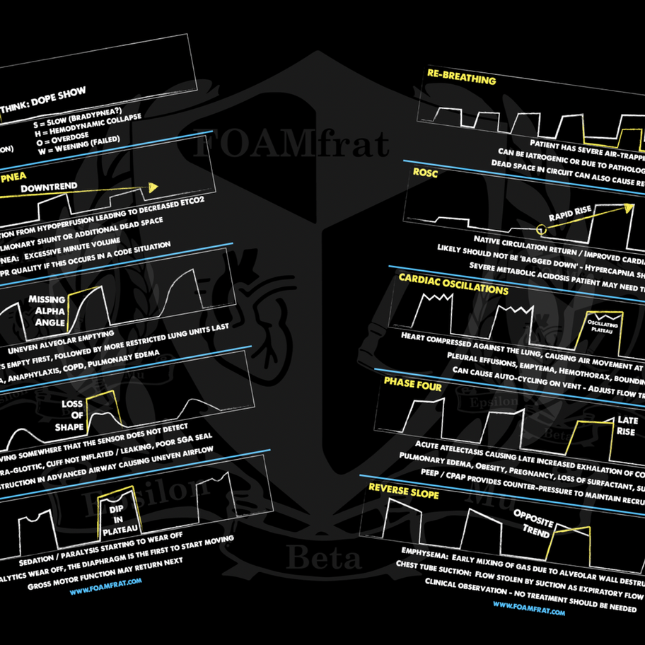 The ETCO2 Card | FOAMfrat