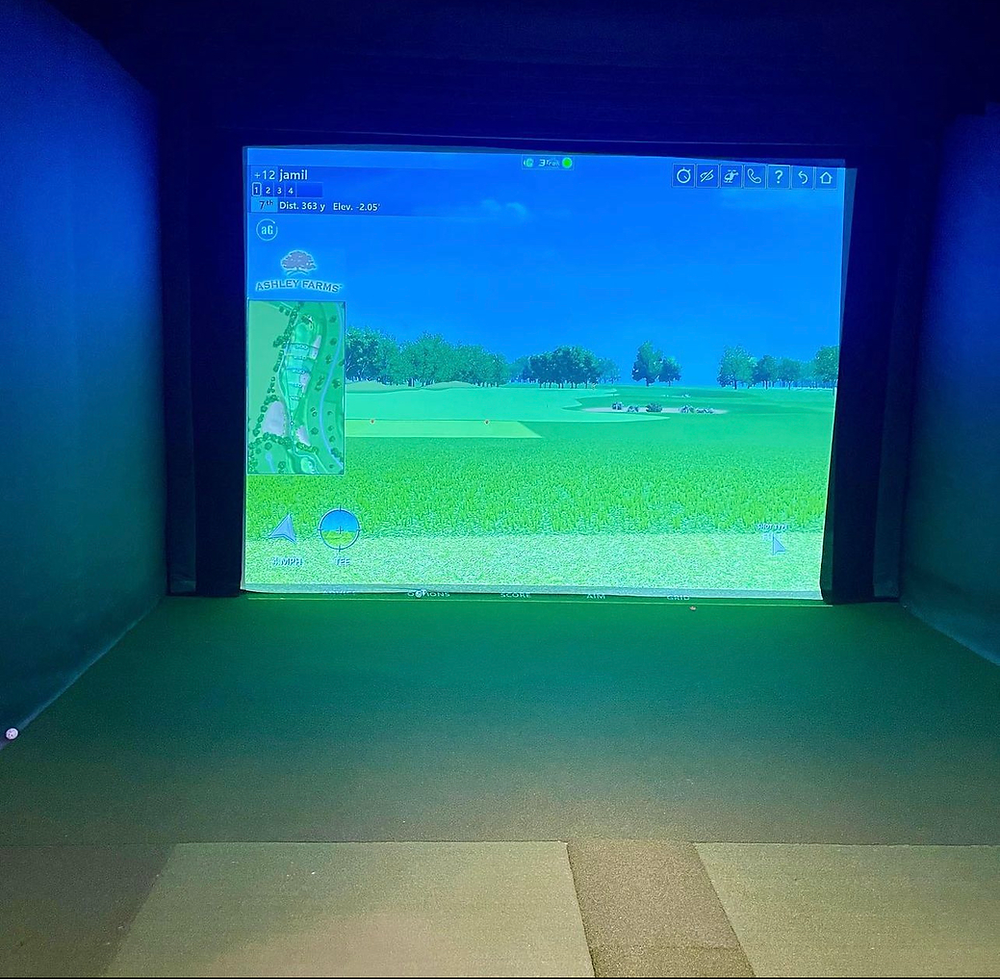 Stimulation of the Simulation