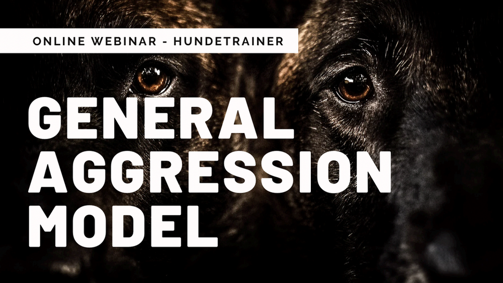 Das General Aggression Model | DraCanis