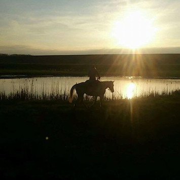 Photo Gallery | Millbrook Trail Rides