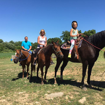Photo Gallery | Millbrook Trail Rides