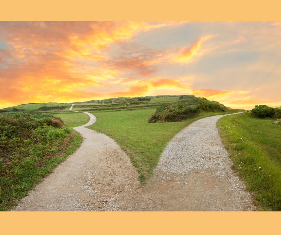 The Fork in the Road | Aletheia Today