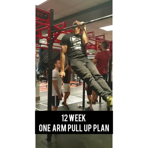12 Week One Arm Pull Up Plan | My Site 1