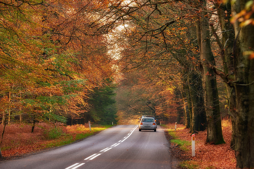 The Ultimate Guide to Fall Car Care