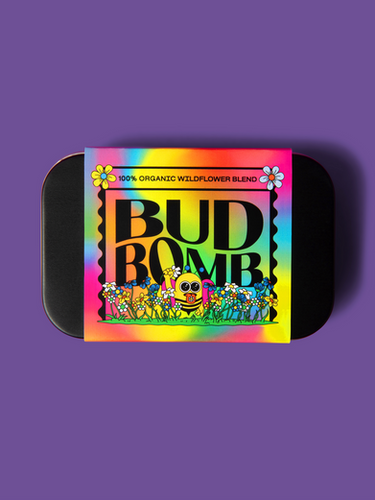SEED VIAL & TIN - Bud Bomb | Bee Mindful