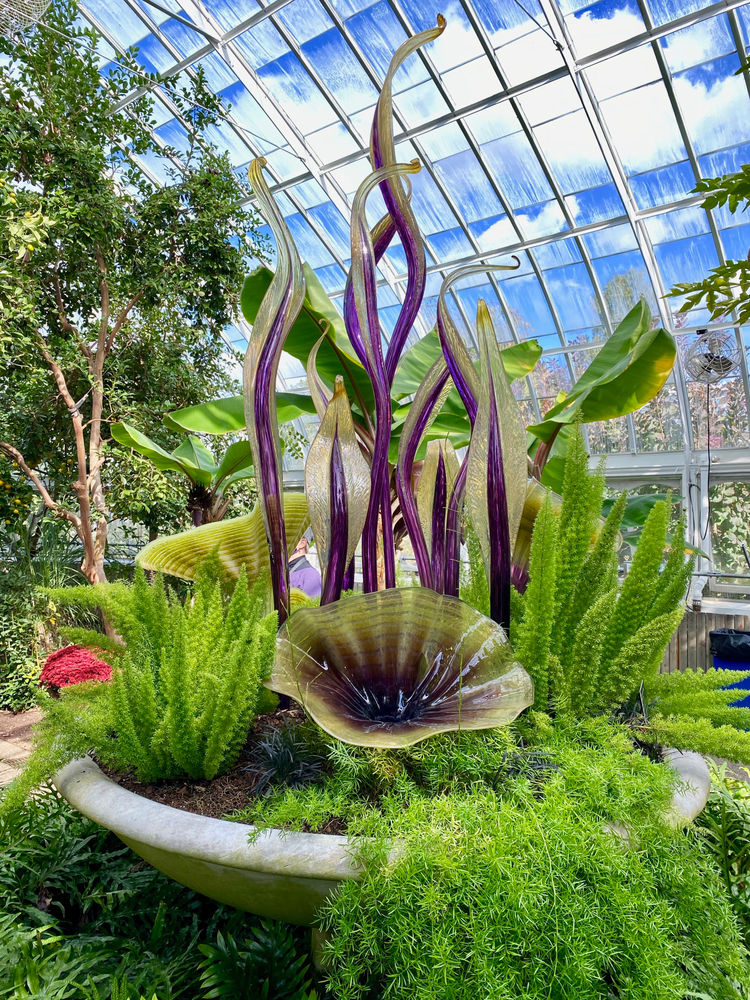 Guide To The Beautiful Phipps Conservatory, Pittsburgh's Botanical ...