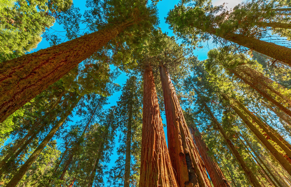 10 Day Itinerary for an Epic Road Trip in Gorgeous Southern California