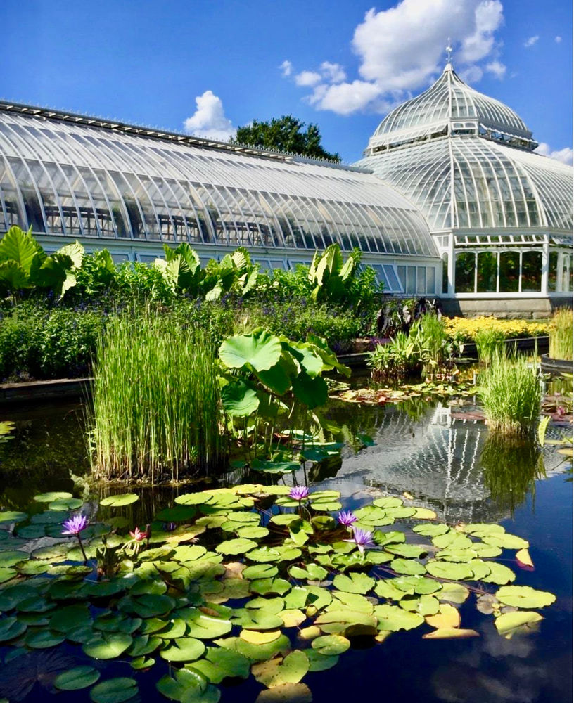Guide To The Beautiful Phipps Conservatory, Pittsburgh's Botanical ...