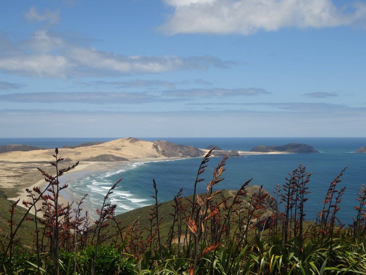 What to visit in New Zealand |Cape Reinga